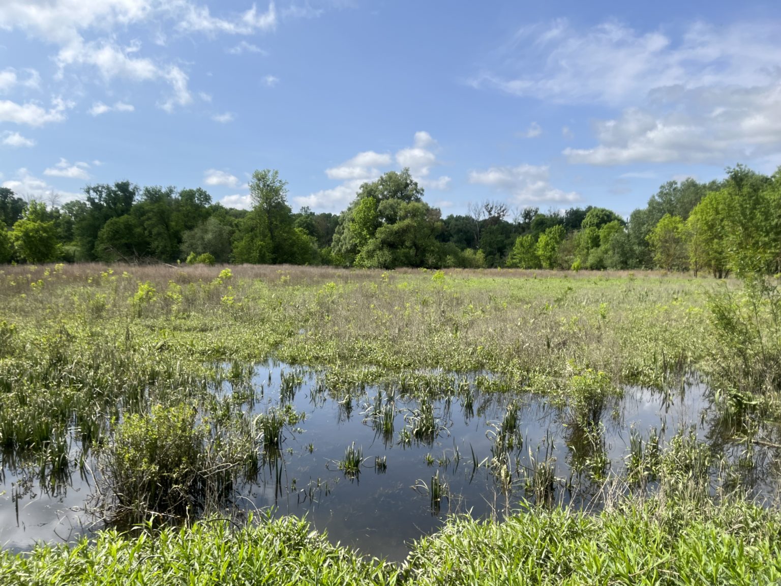 World Water Day- WET HORIZONS