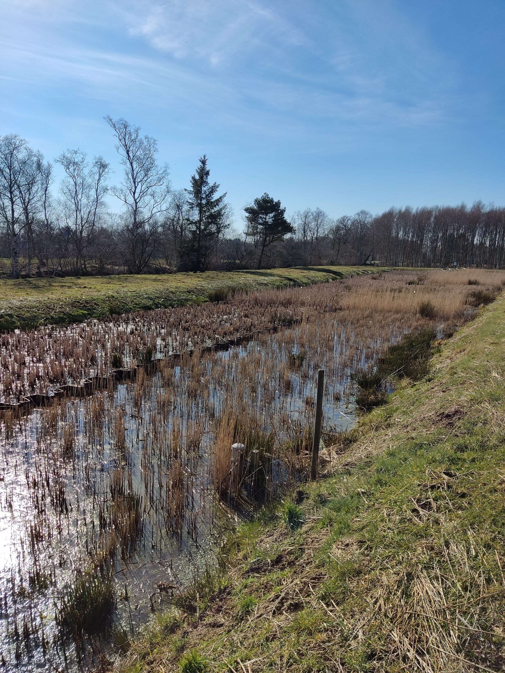 World Wetlands Day - Wethorizons